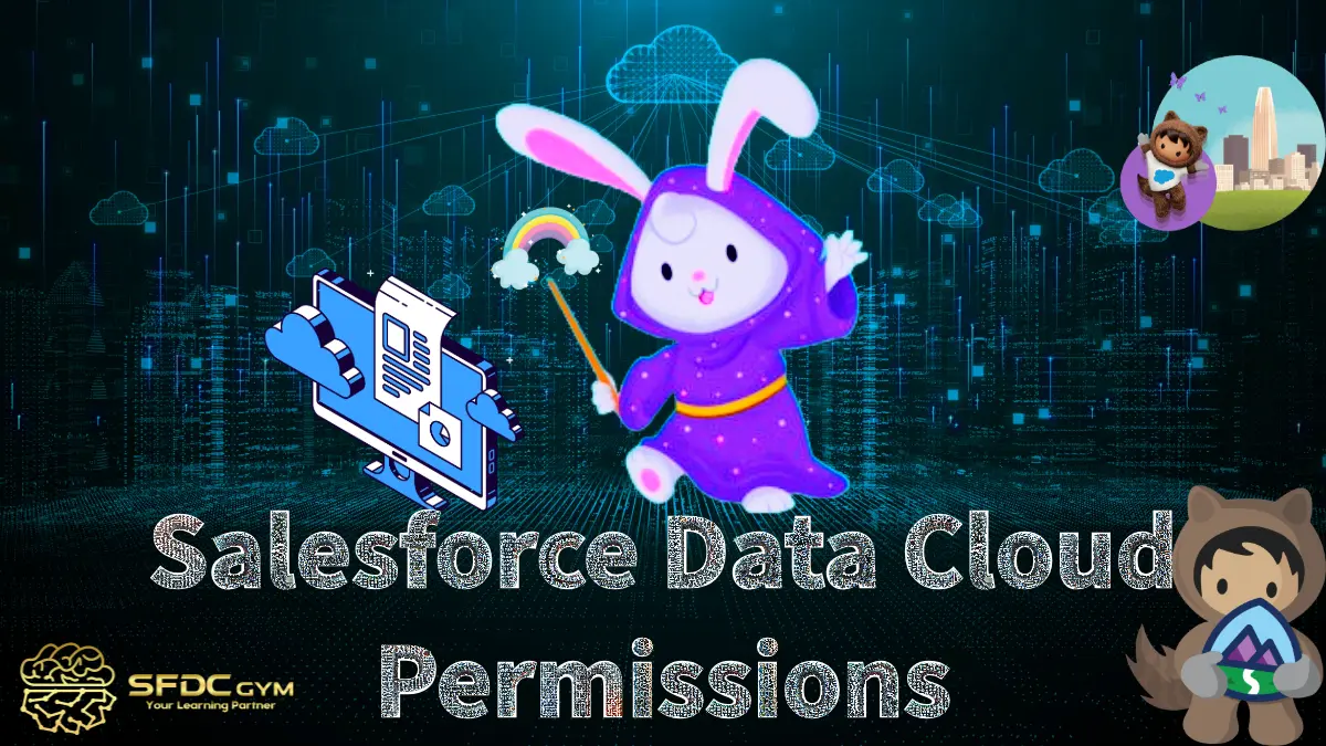 Navigating the Salesforce Data Cloud Permission Maze - Salesforce ...